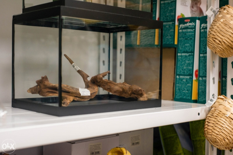 Akvarijumi. ribice .oprema - Akvarijumi - OLX.ba