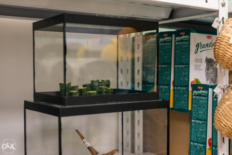 Akvarijumi. ribice .oprema - Akvarijumi - OLX.ba